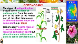 Sexual reproduction in flowering plants | PPT