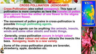 Sexual reproduction in flowering plants | PDF