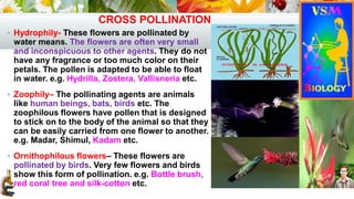 Sexual reproduction in flowering plants | PPT