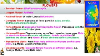 Sexual reproduction in flowering plants | PPT