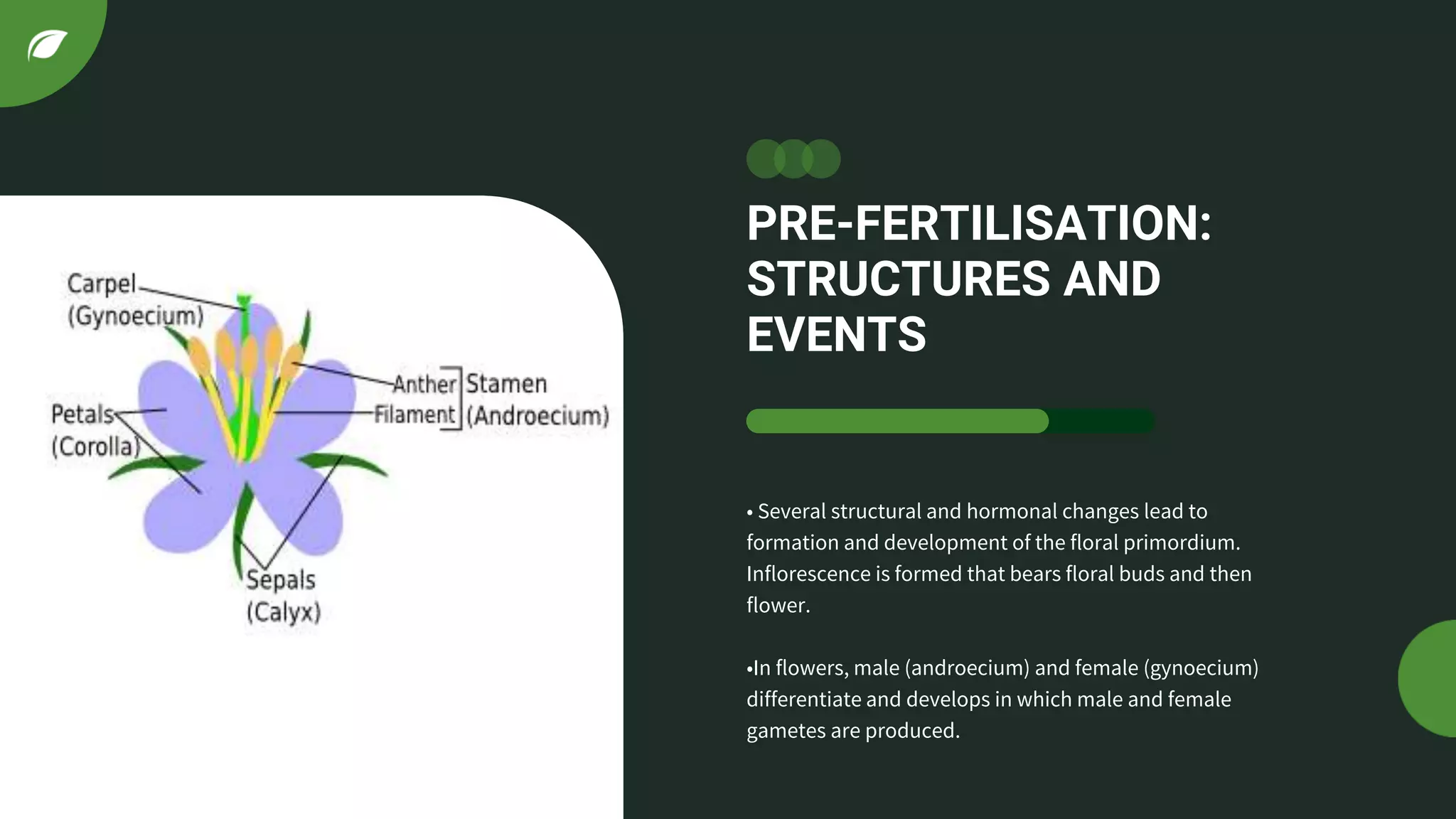 SEXUAL REPRODUCTION IN FLOWERING PLANTS.pptx