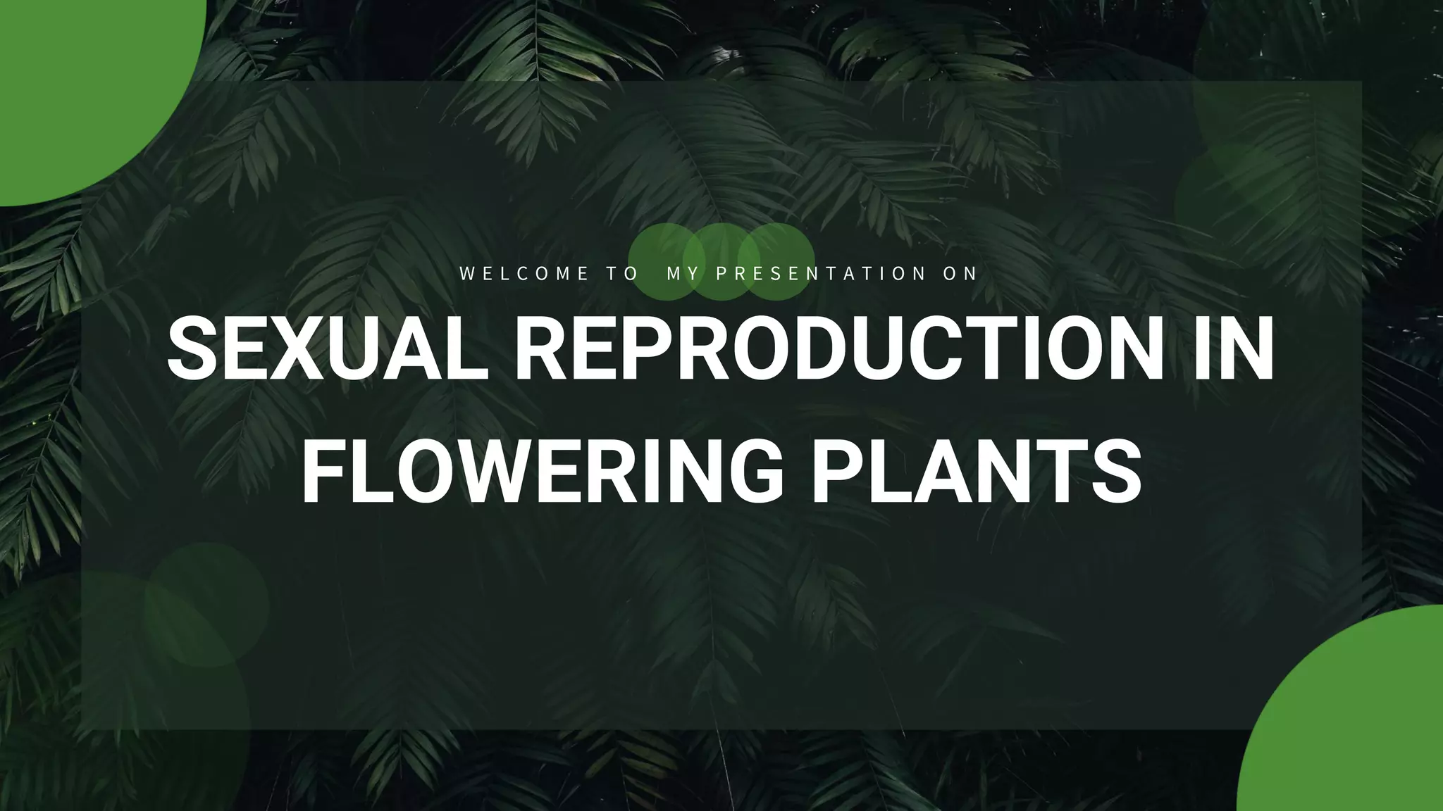 SEXUAL REPRODUCTION IN FLOWERING PLANTS.pptx