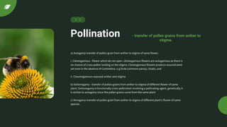 SEXUAL REPRODUCTION IN FLOWERING PLANTS.pptx