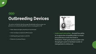 SEXUAL REPRODUCTION IN FLOWERING PLANTS.pptx