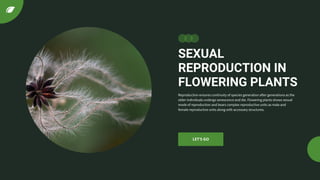 SEXUAL REPRODUCTION IN FLOWERING PLANTS.pptx