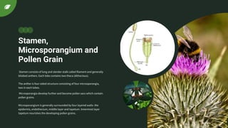 SEXUAL REPRODUCTION IN FLOWERING PLANTS.pptx