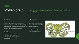 SEXUAL REPRODUCTION IN FLOWERING PLANTS.pptx