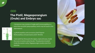 SEXUAL REPRODUCTION IN FLOWERING PLANTS.pptx