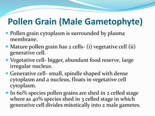 Sexual Reproduction in Flowering plants.pptx