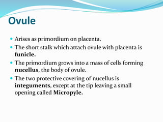 Sexual Reproduction in Flowering plants.pptx