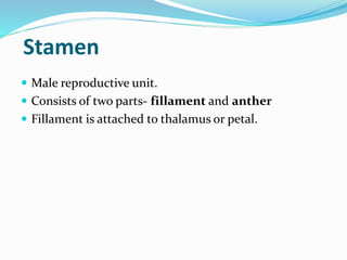 Sexual Reproduction in Flowering plants.pptx