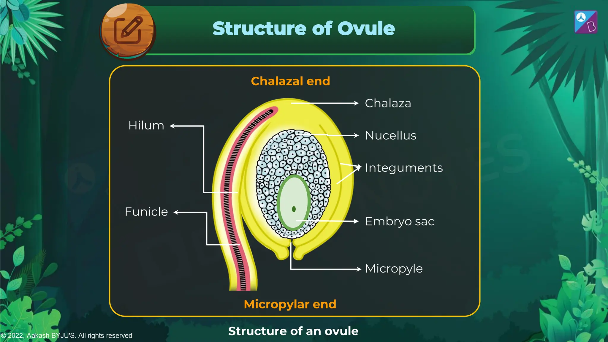 Sexual Reproduction in Flowering Plants.pdf