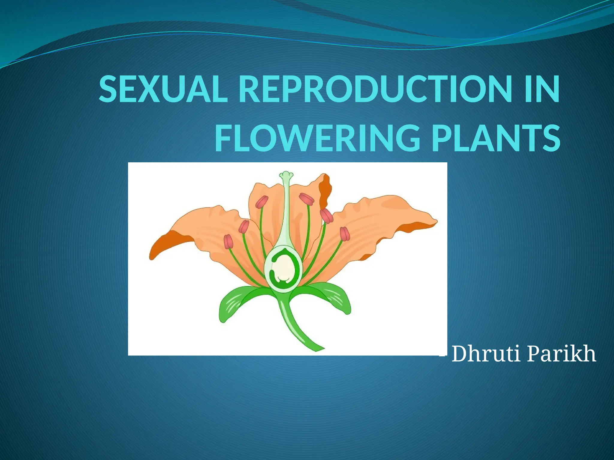 SEXUAL REPRODUCTION IN FLOWERING PLANTS.pptx