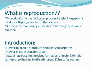 SEXUAL REPRODUCTION IN FLOWERING PLANTS.pptx
