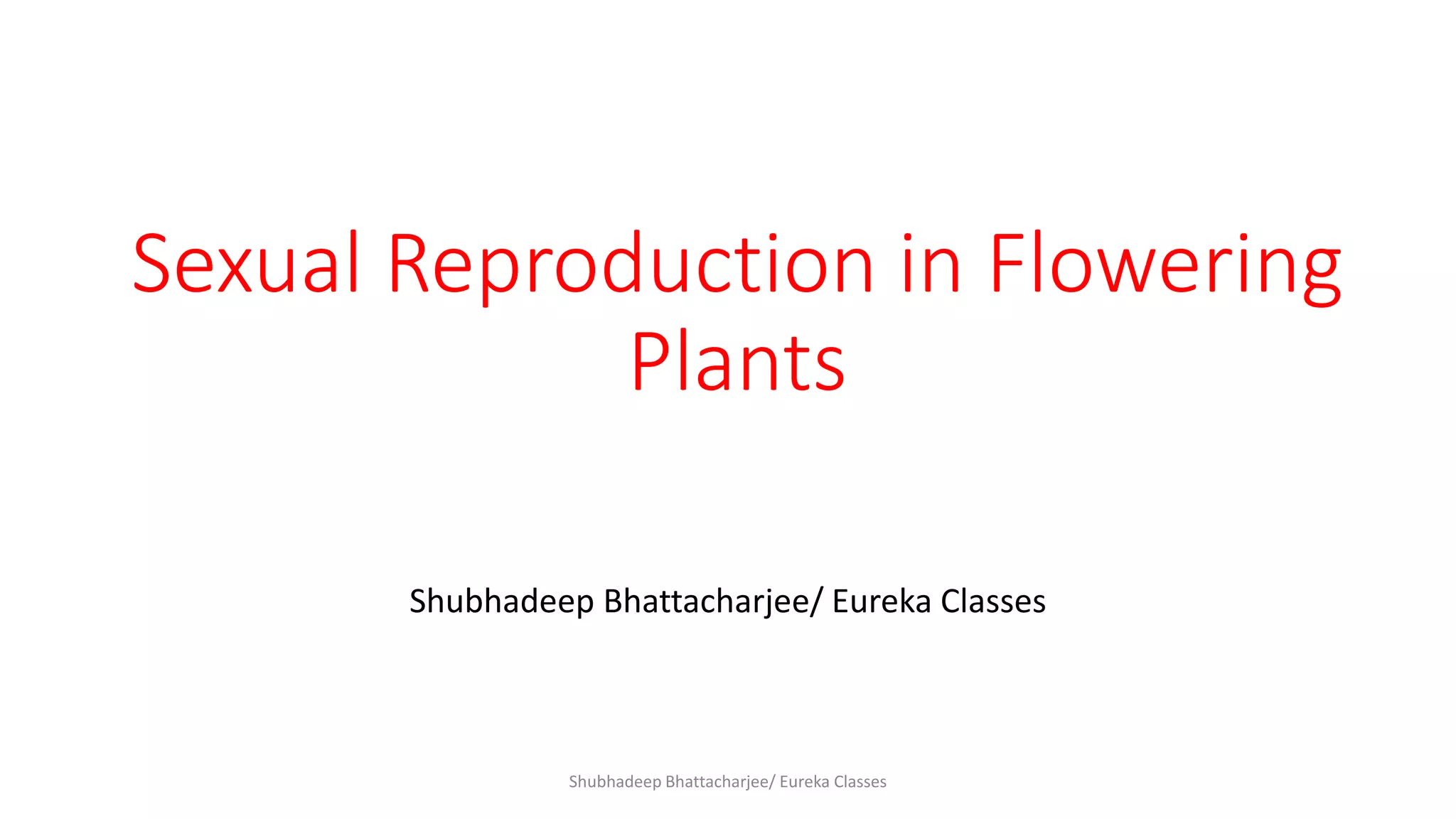 Sexual reproduction in flowering plants | PPTX