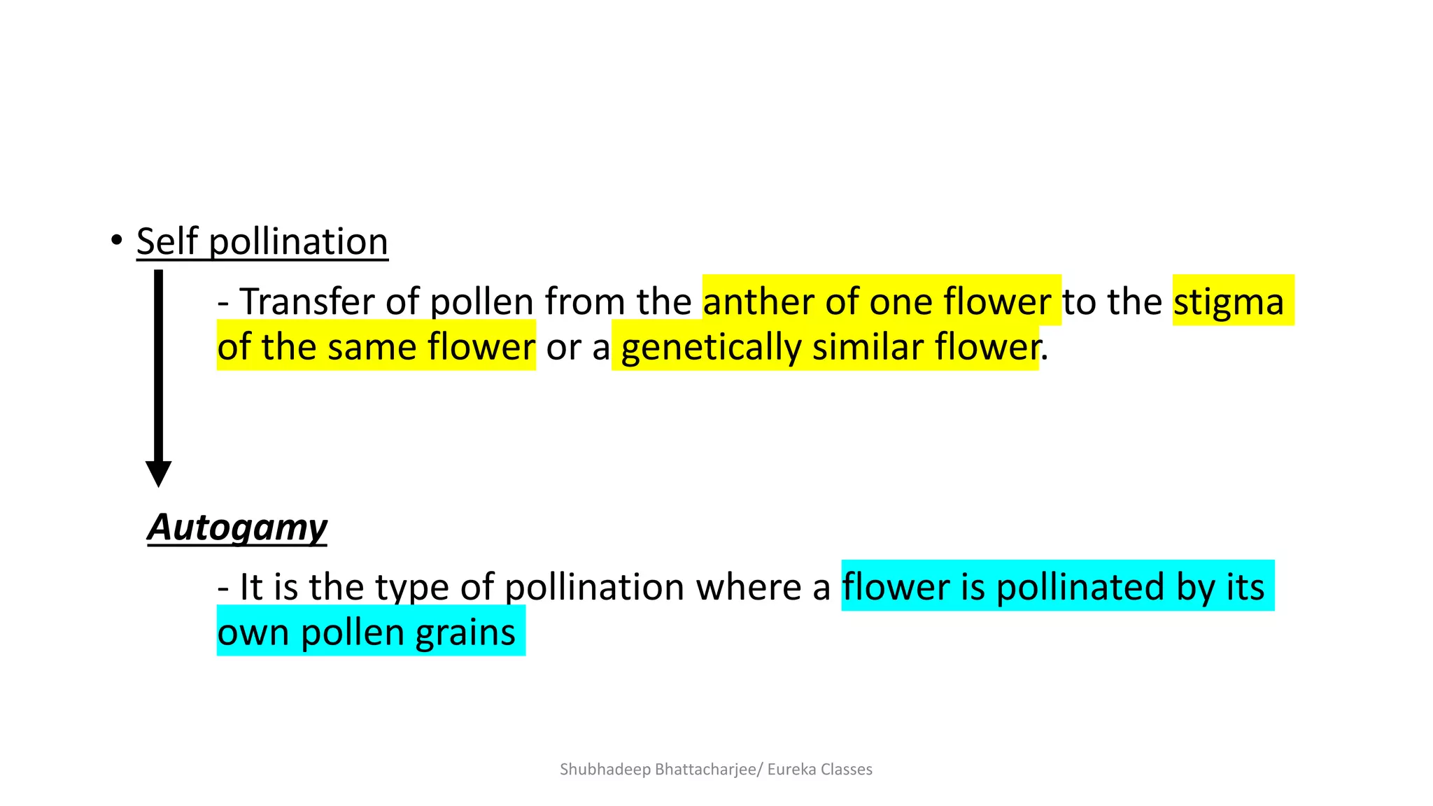 Sexual reproduction in flowering plants | PPT