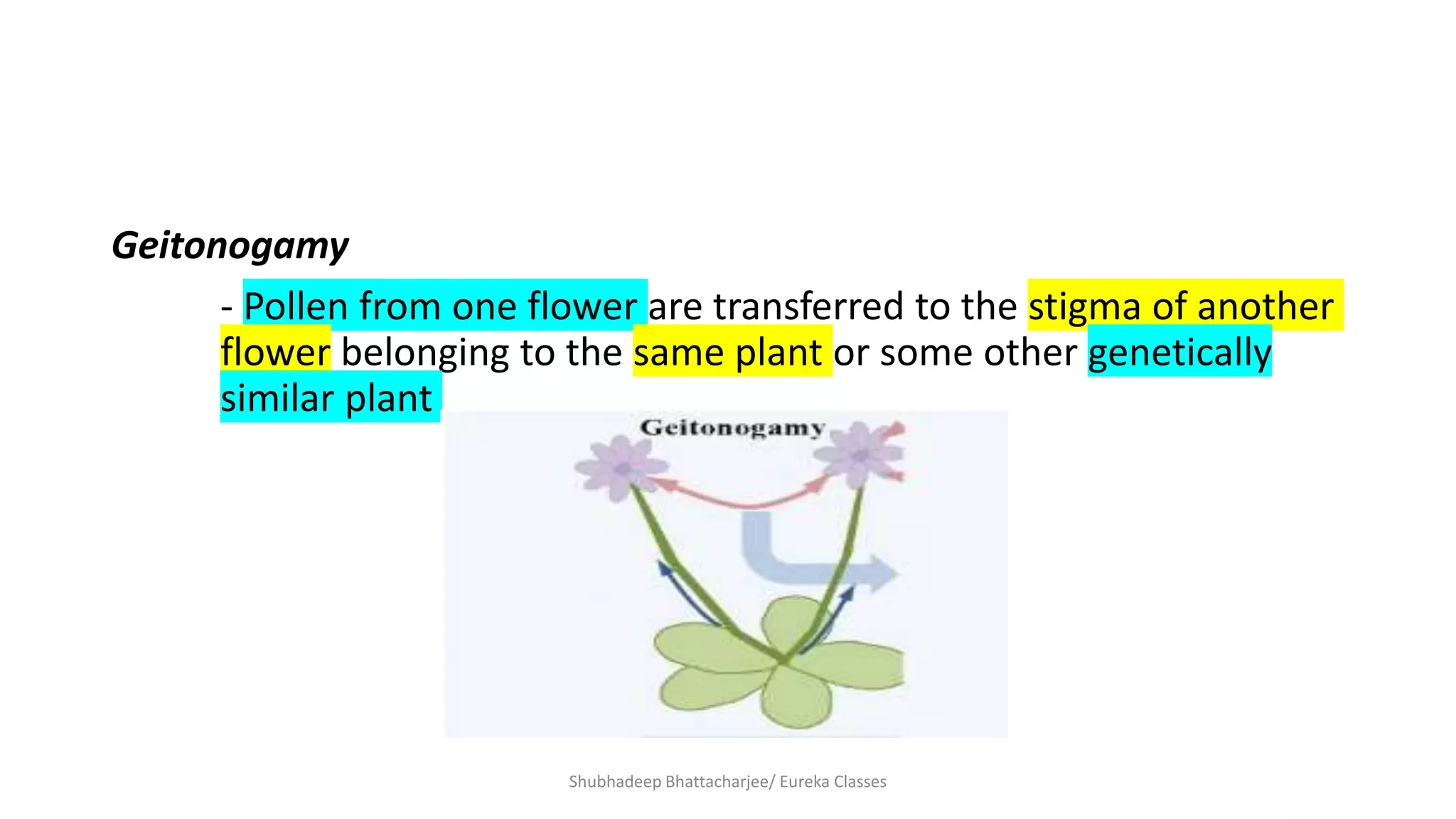 Sexual reproduction in flowering plants | PPTX