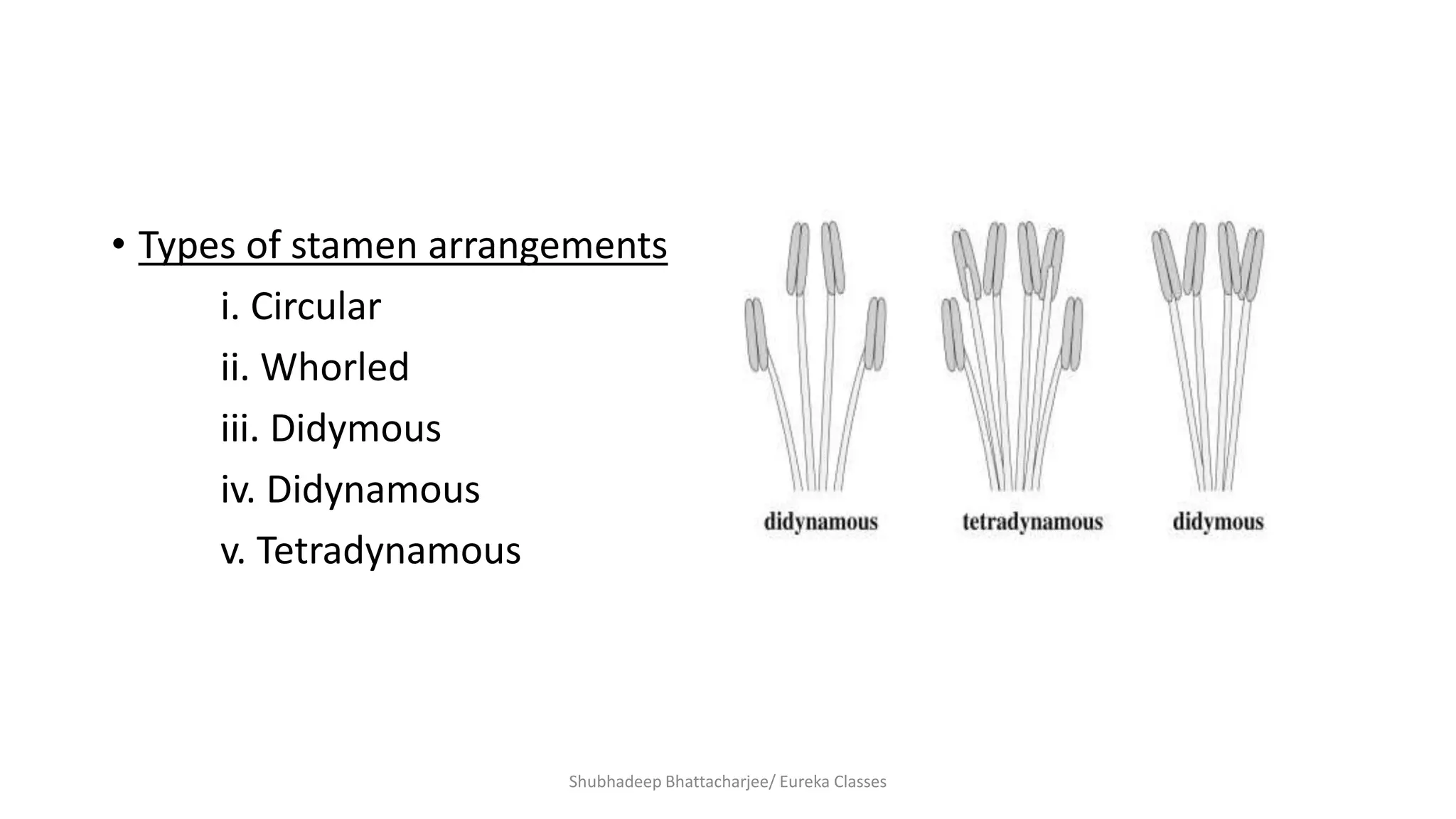 Sexual reproduction in flowering plants | PPTX