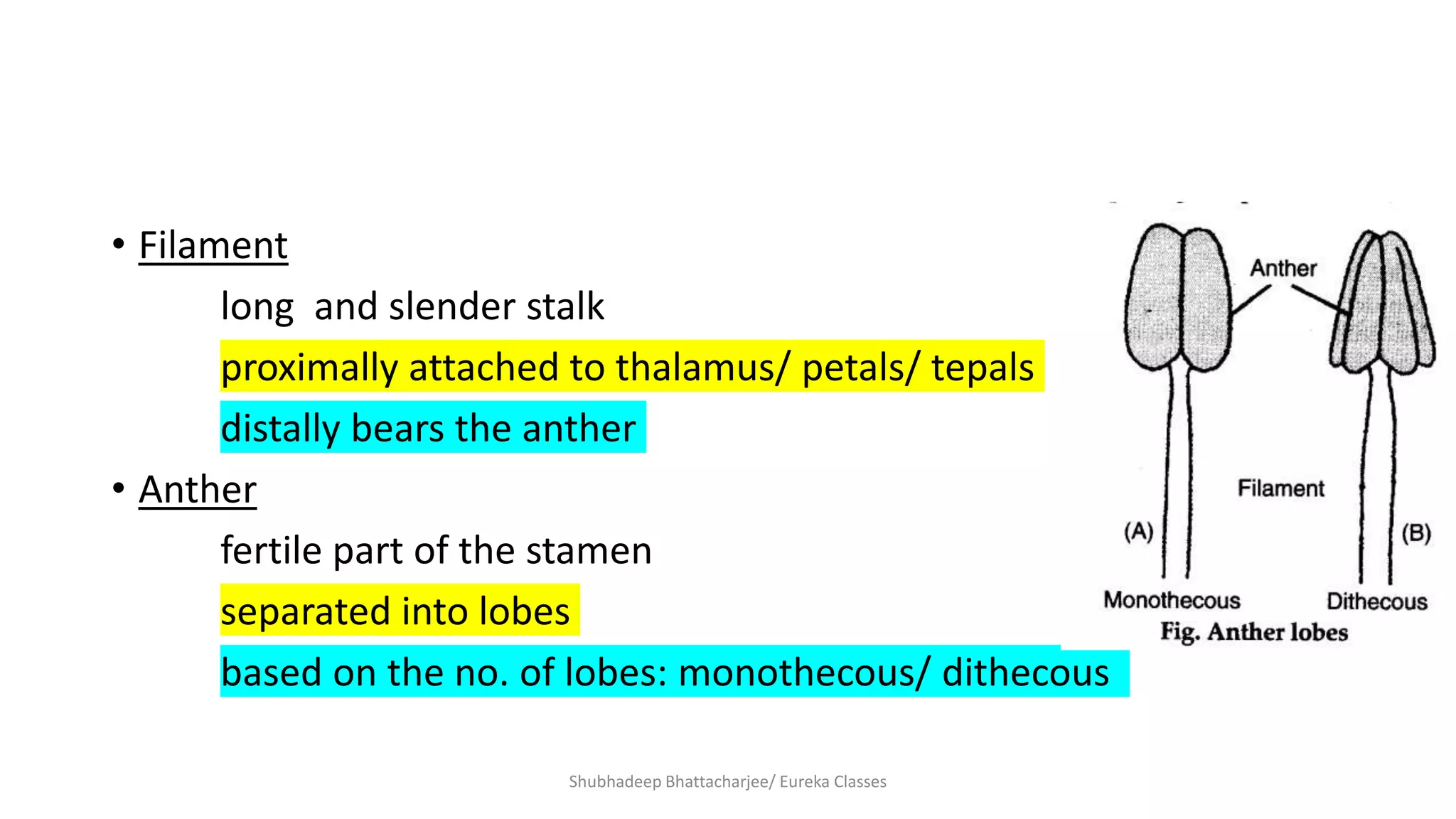 Sexual Reproduction In Flowering Plants Ppt