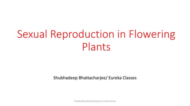 Sexual reproduction in flowering plants | PPT