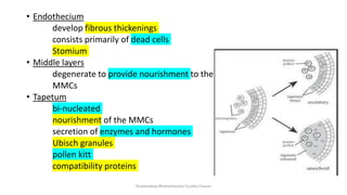 Sexual reproduction in flowering plants | PPTX