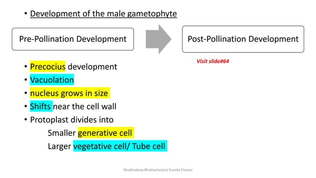 Sexual reproduction in flowering plants | PPT