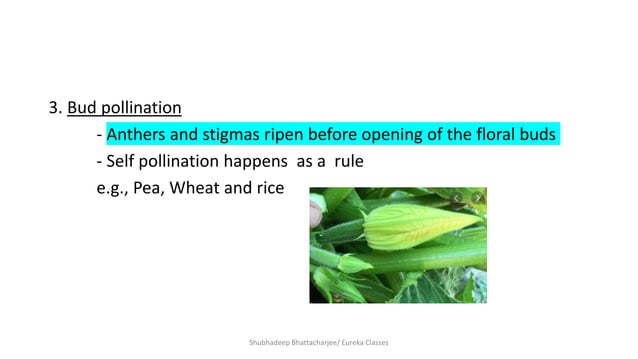 Sexual reproduction in flowering plants | PPT