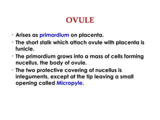 SEXUAL REPRODUCTION IN FLOWERING PLANTS-sudhir singh DAV Kathmandu.pptx