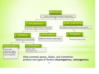 SEXUAL REPRODUCTION IN FLOWERING PLANTS-sudhir singh DAV Kathmandu.pptx