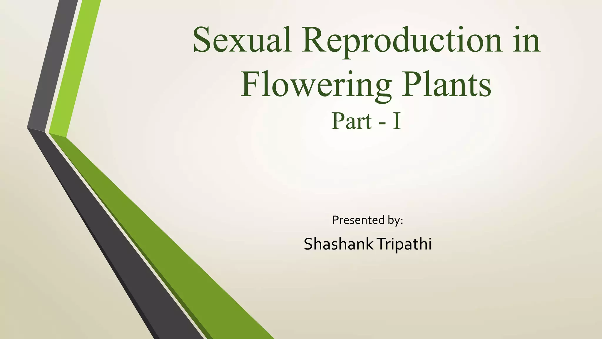 Sexual Reproduction in Flowering Plants (Part I) | PPTX