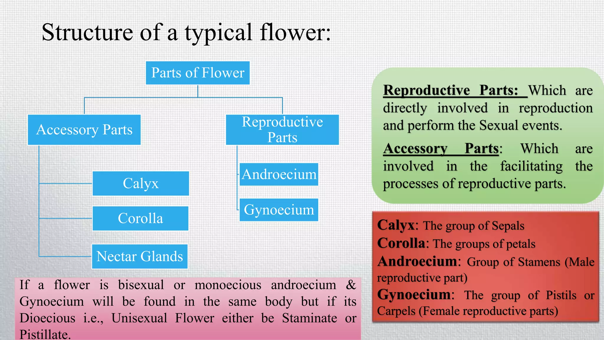 Sexual Reproduction in Flowering Plants (Part I) | PPTX