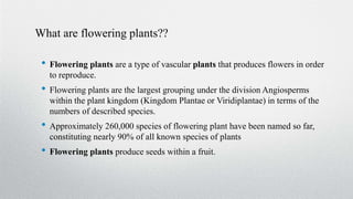 Sexual Reproduction in Flowering Plants (Part I) | PPTX