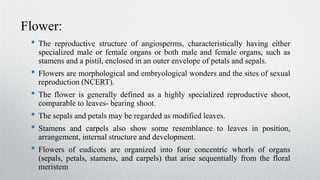 Sexual Reproduction in Flowering Plants (Part I) | PPTX