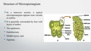 Sexual Reproduction in Flowering Plants (Part I) | PPTX