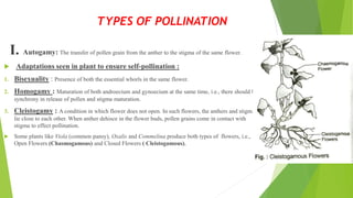 Sexual reproduction in flowering plants 2 | PPTX