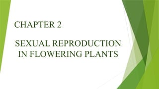 SEXUAL REPRODUCTION IN FLOWERING PLANTS full chapter.pptx