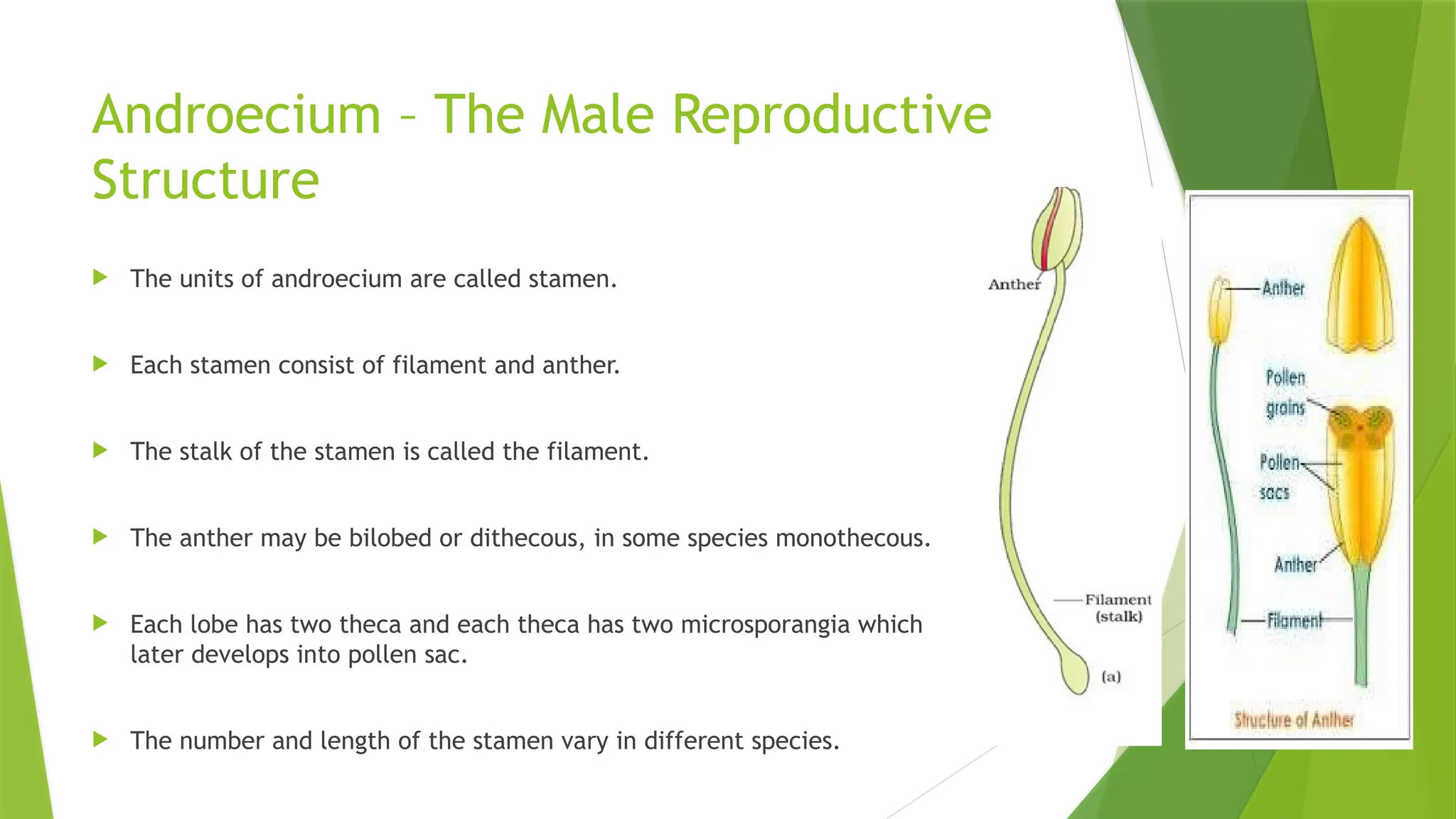 SEXUAL REPRODUCTION IN FLOWERING PLANTS full chapter.pptx