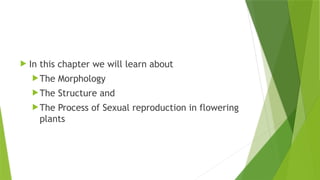 SEXUAL REPRODUCTION IN FLOWERING PLANTS full chapter.pptx
