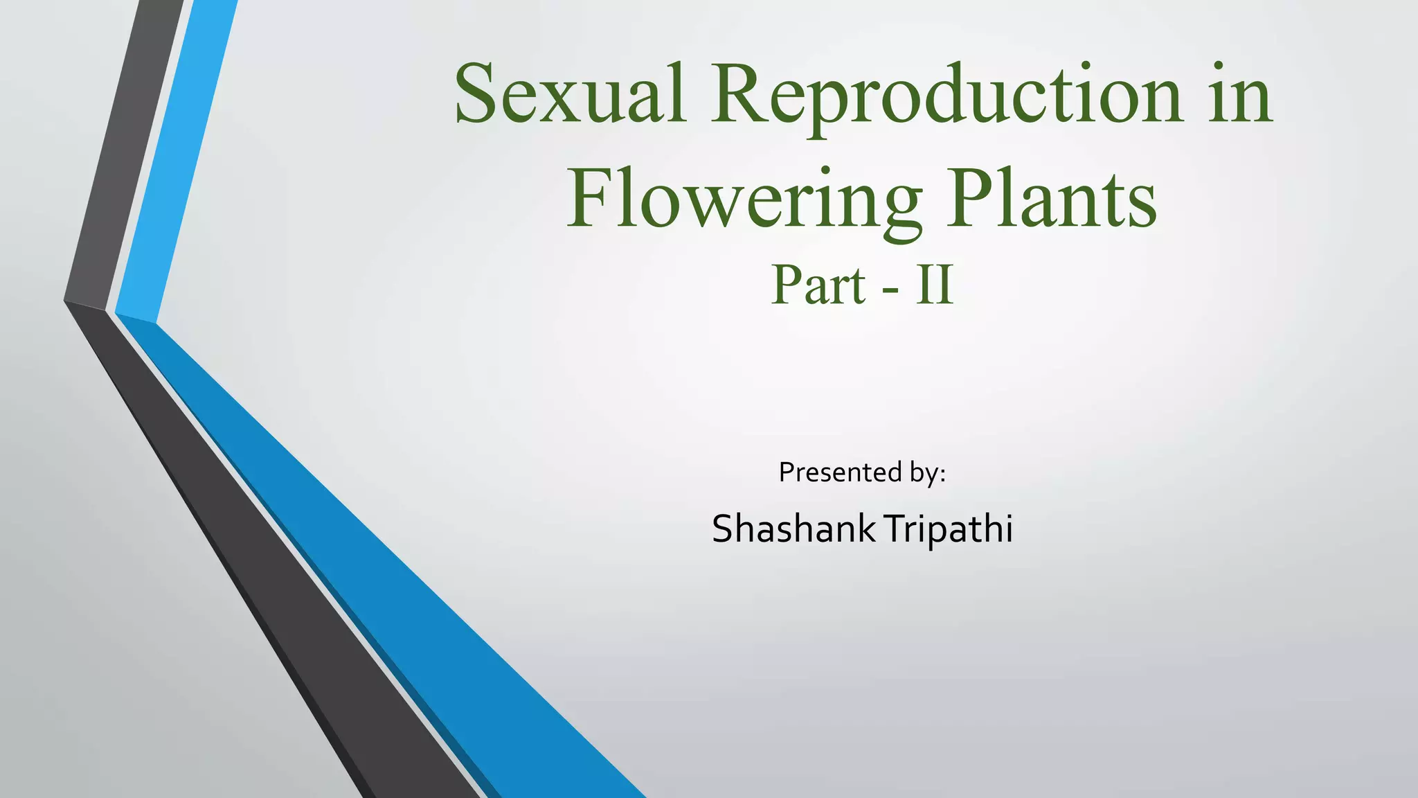 Sexual Reproduction in Flowering Plants (Part II) | PPT