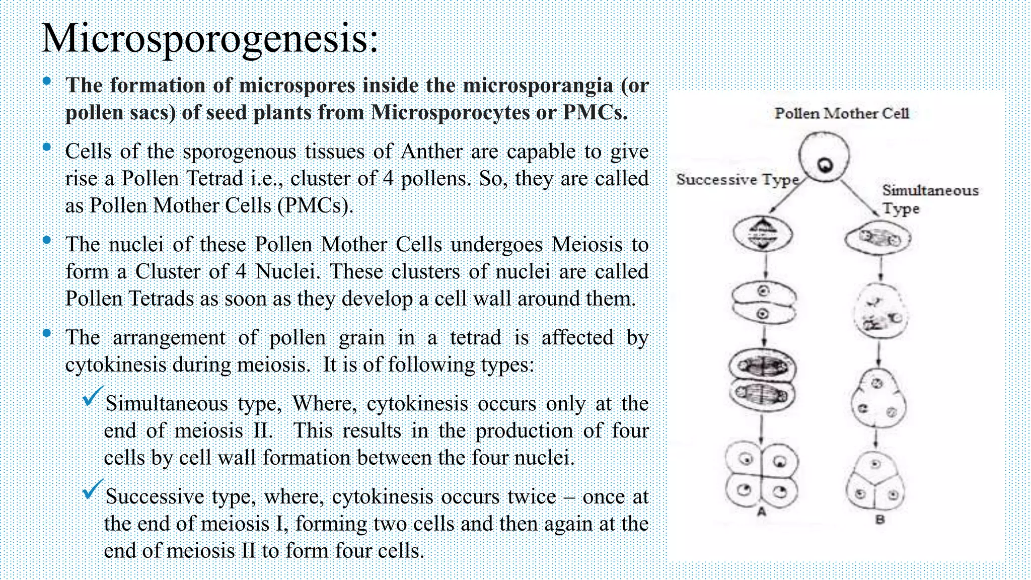 Sexual Reproduction in Flowering Plants (Part II) | PPT