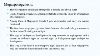 Sexual Reproduction in Flowering Plants (Part II) | PPTX