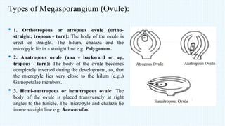 Sexual Reproduction in Flowering Plants (Part II) | PPT