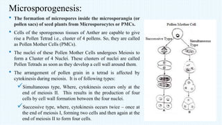 Sexual Reproduction in Flowering Plants (Part II) | PPT
