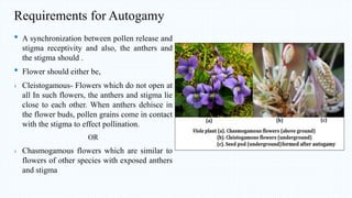 Sexual reproduction in flowering plants III | PPT