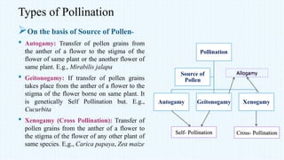 Sexual reproduction in flowering plants III | PPTX