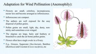 Sexual reproduction in flowering plants III | PPT