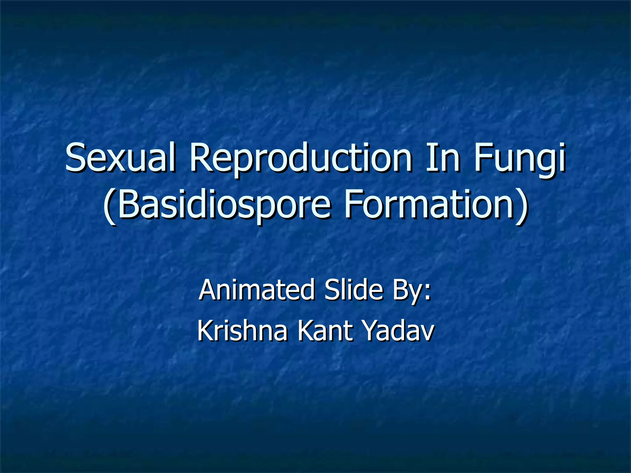 Sexual Reproduction In Fungi (Basidiospore) | PPT