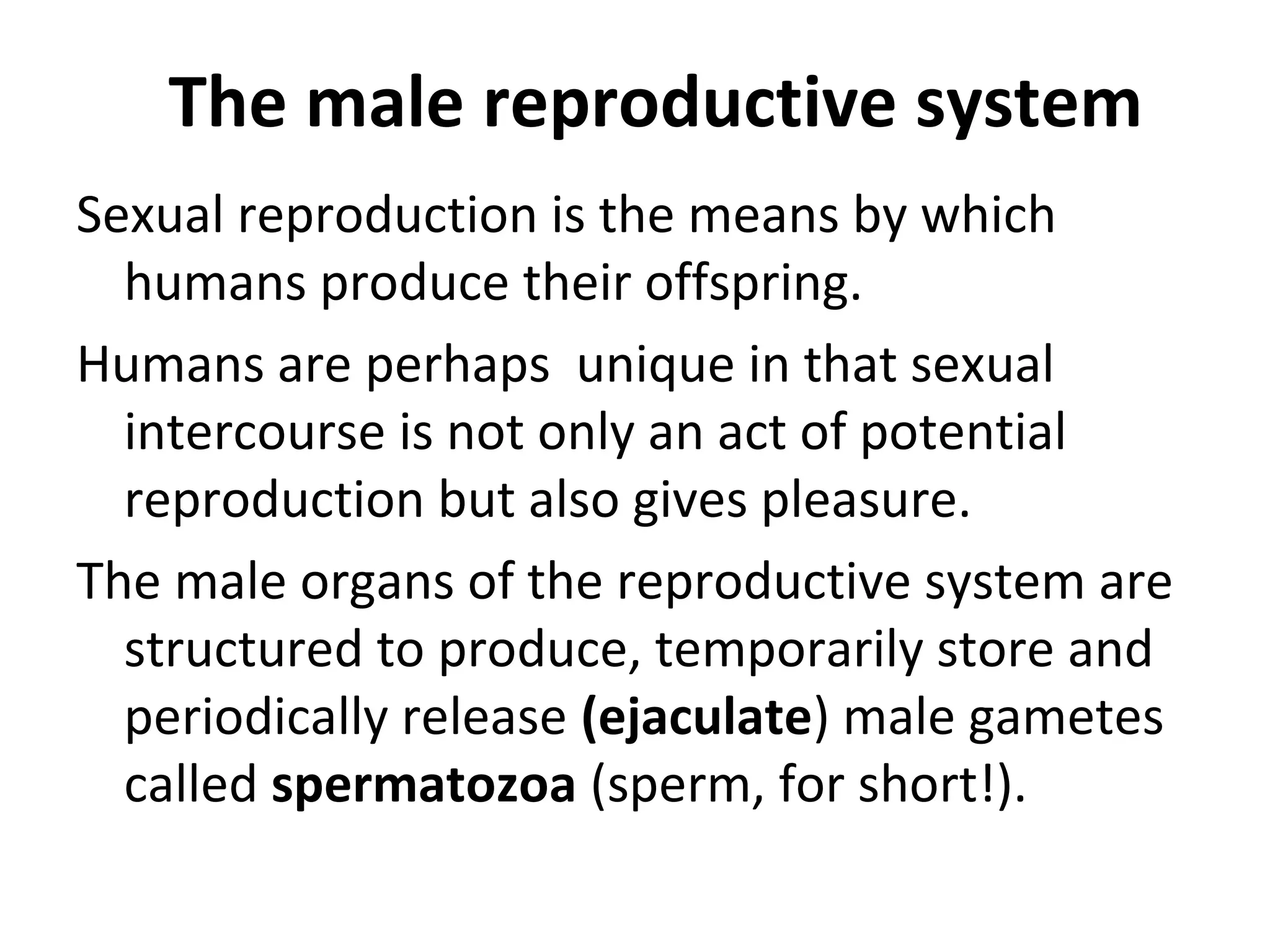 Biology Sexual reproduction in mammals | PPT