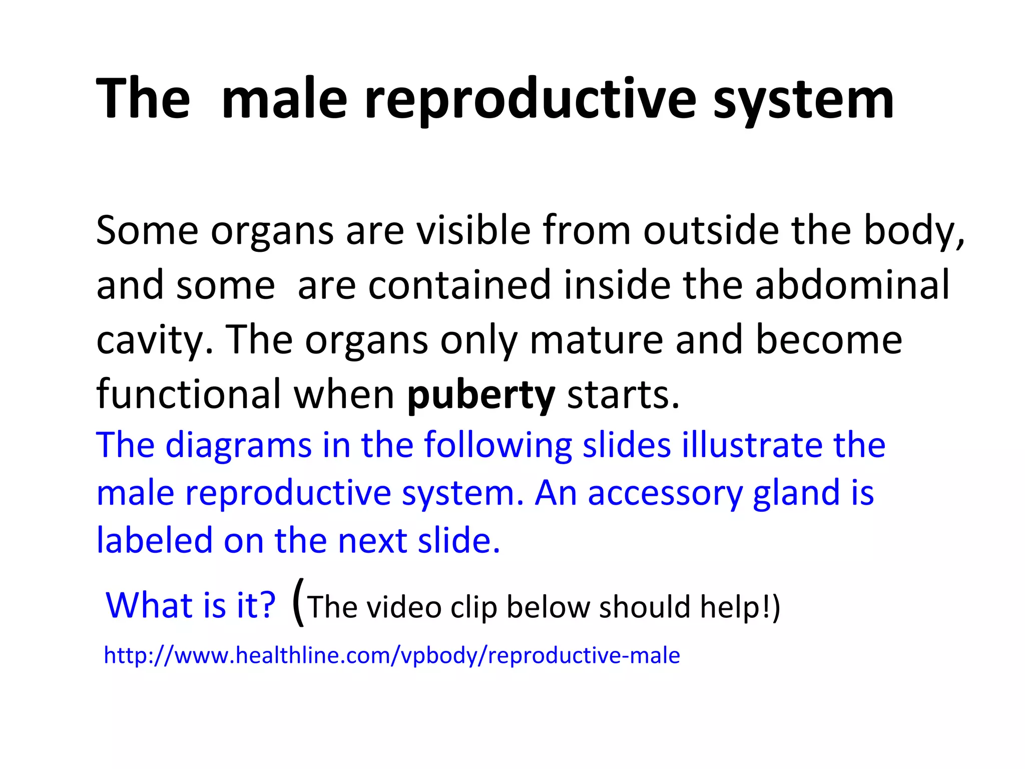 Biology Sexual reproduction in mammals | PPT