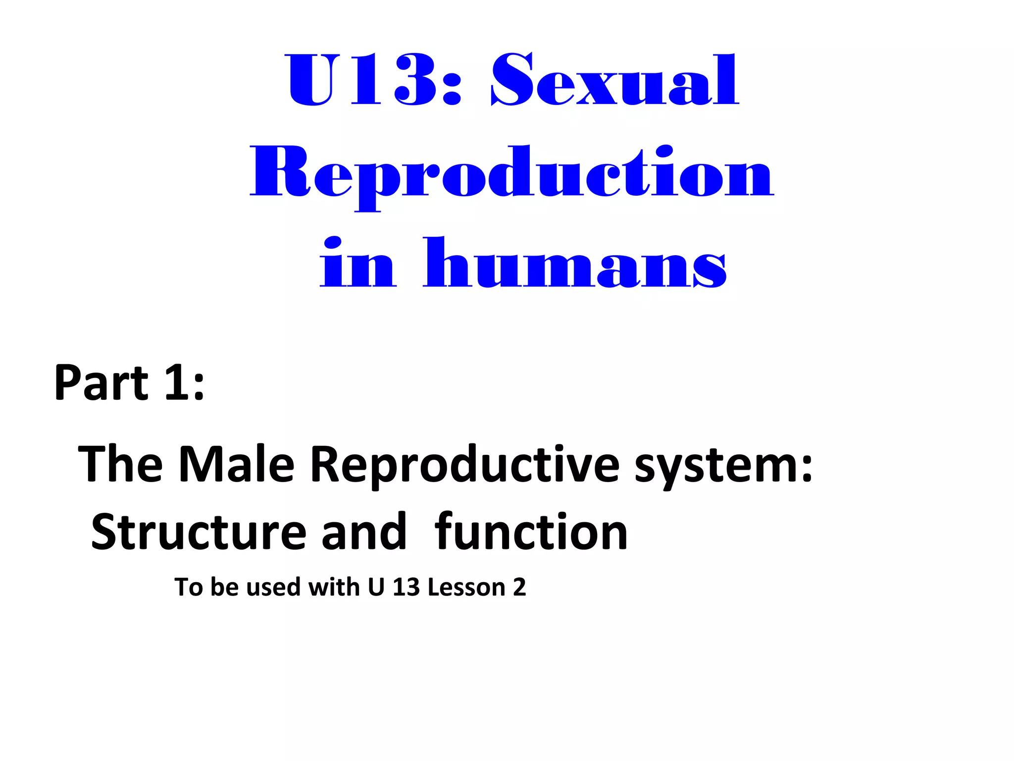 Biology Sexual reproduction in mammals | PPT